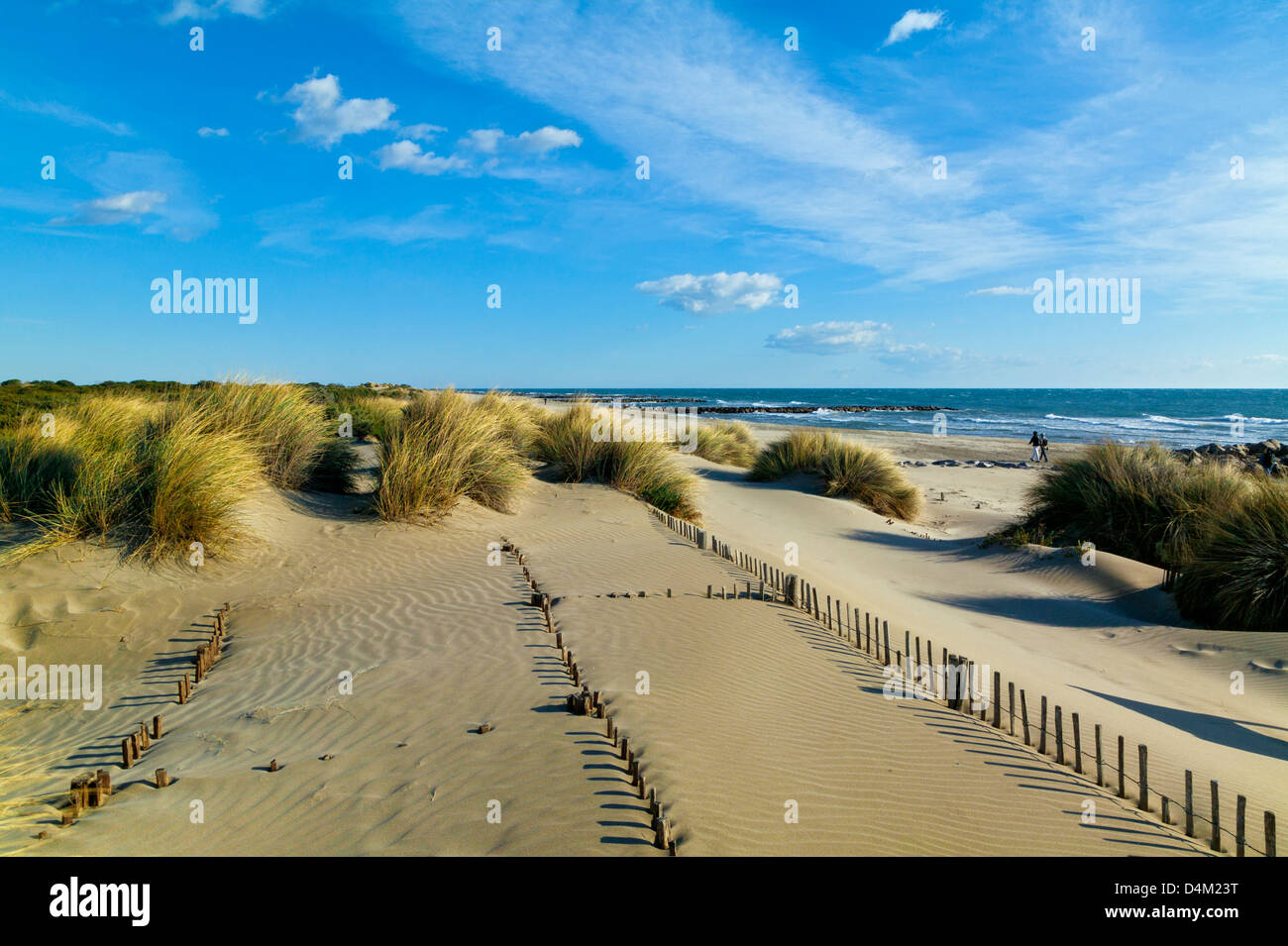 The Espiguette, Beach in Camargue,Languedoc Roussillon,France Stock ...