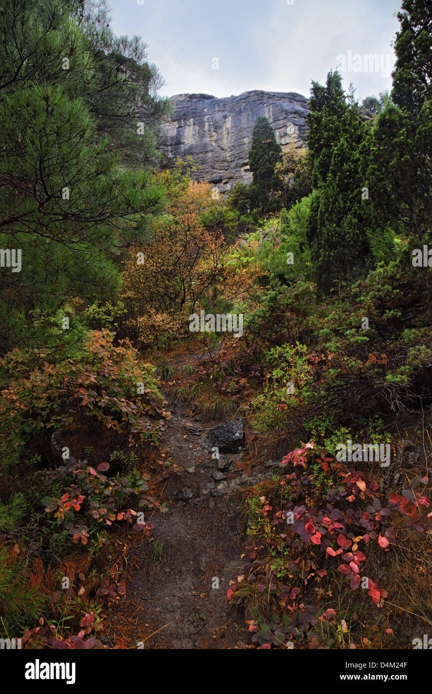 Crimea steppe hi-res stock photography and images - Alamy