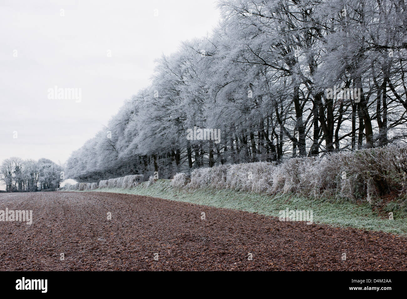 Fields in winter with snow and frost Stock Photo - Alamy