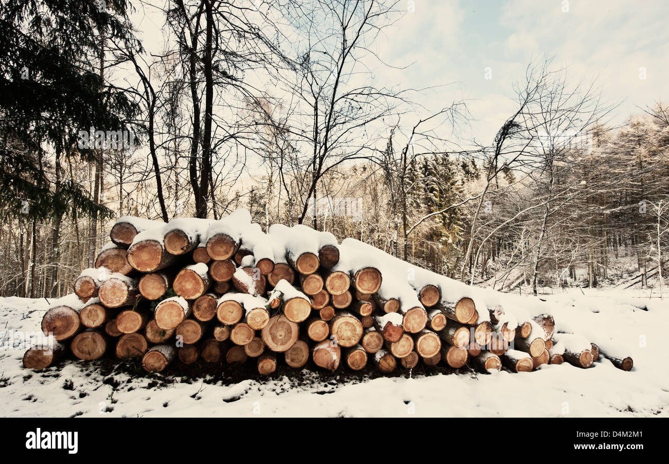logs in snow Stock Photo - Alamy