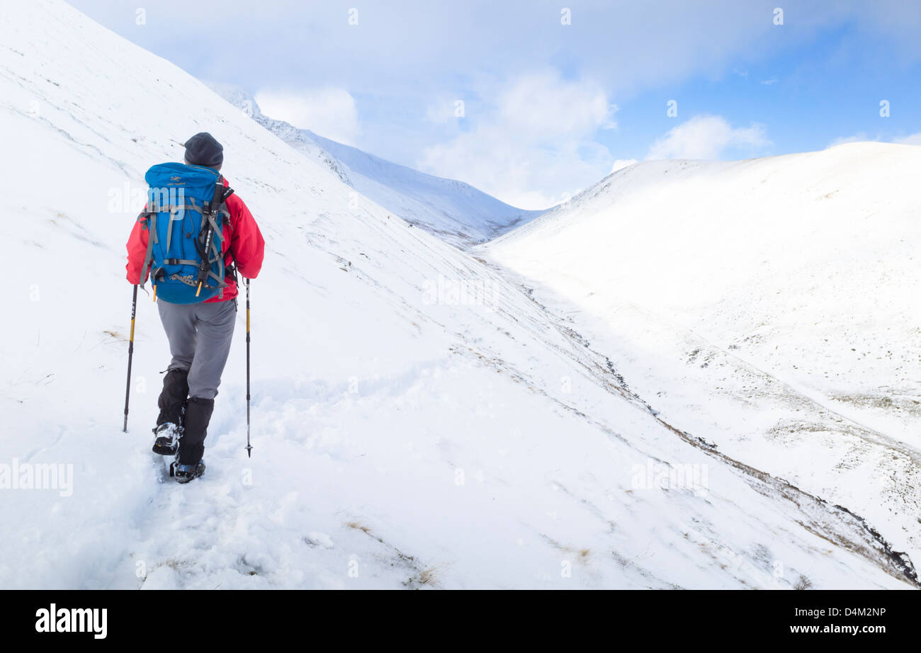 A hiker climbing Sharp Edge on route to the summit of Blencathra ...