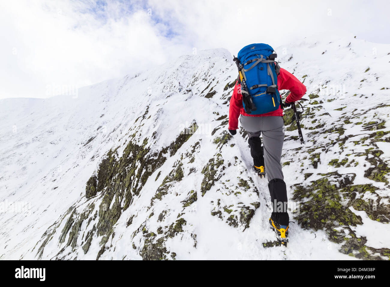 A hiker climbing Sharp Edge on route to the summit of Blencathra ...