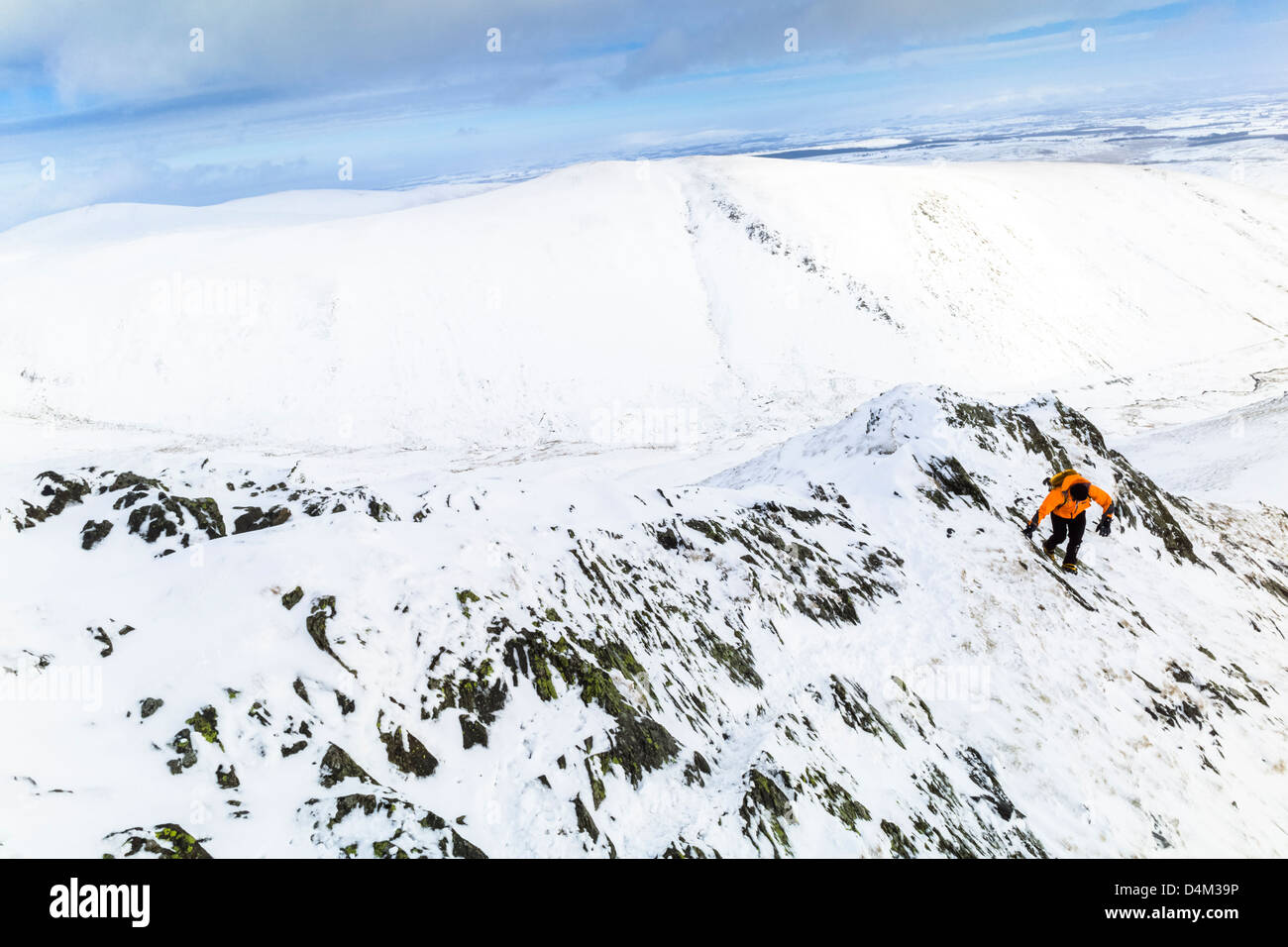 A climber ascending Sharp Edge towards the summit of Blencathgra ...