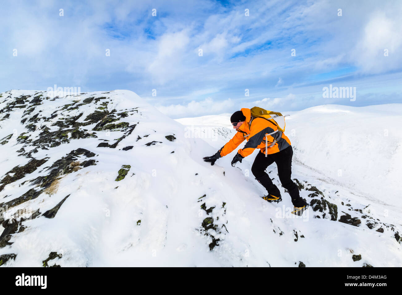 A climber ascending Sharp Edge towards the summit of Blencathgra ...