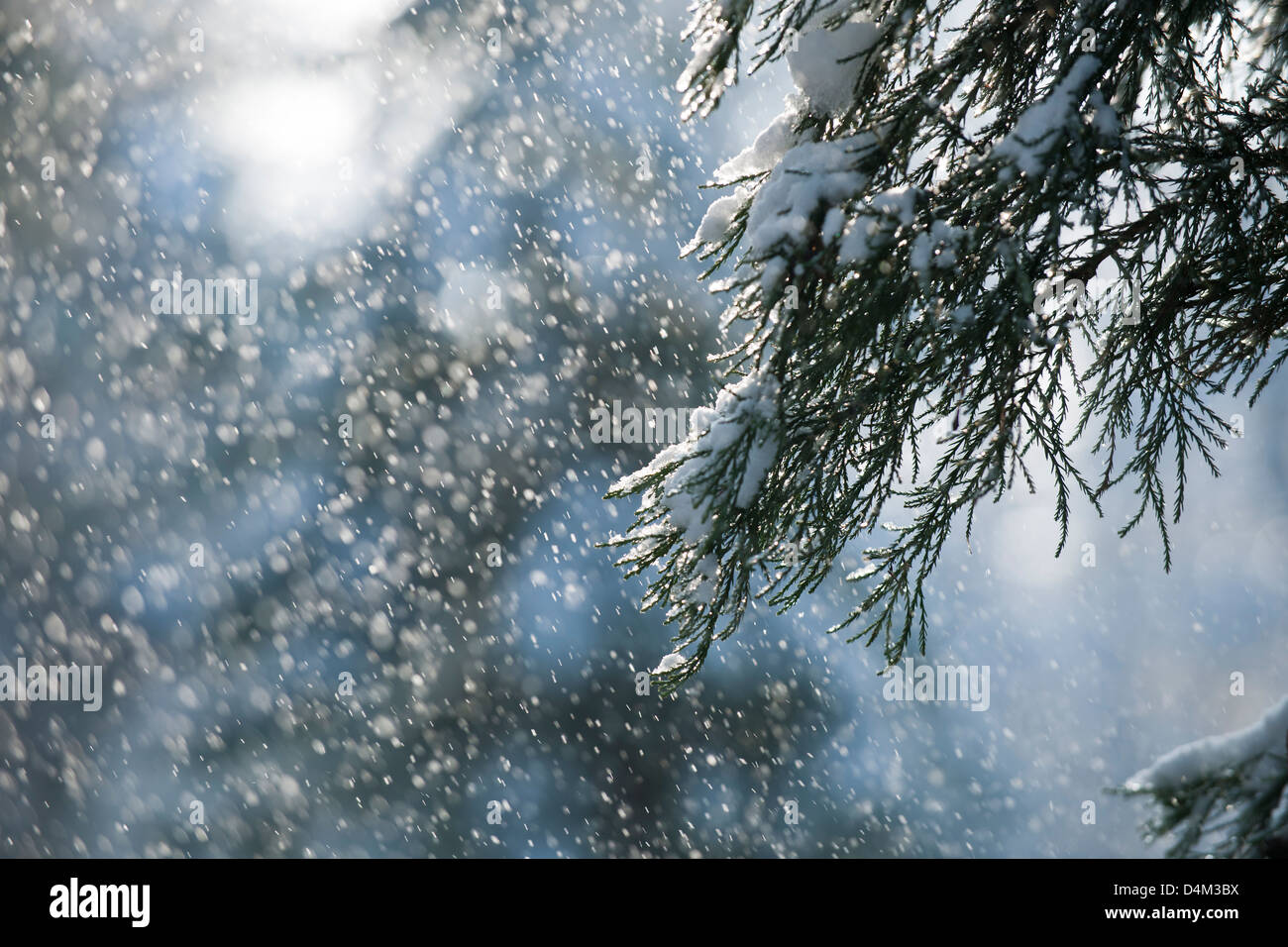 Snow falling hi-res stock photography and images - Alamy