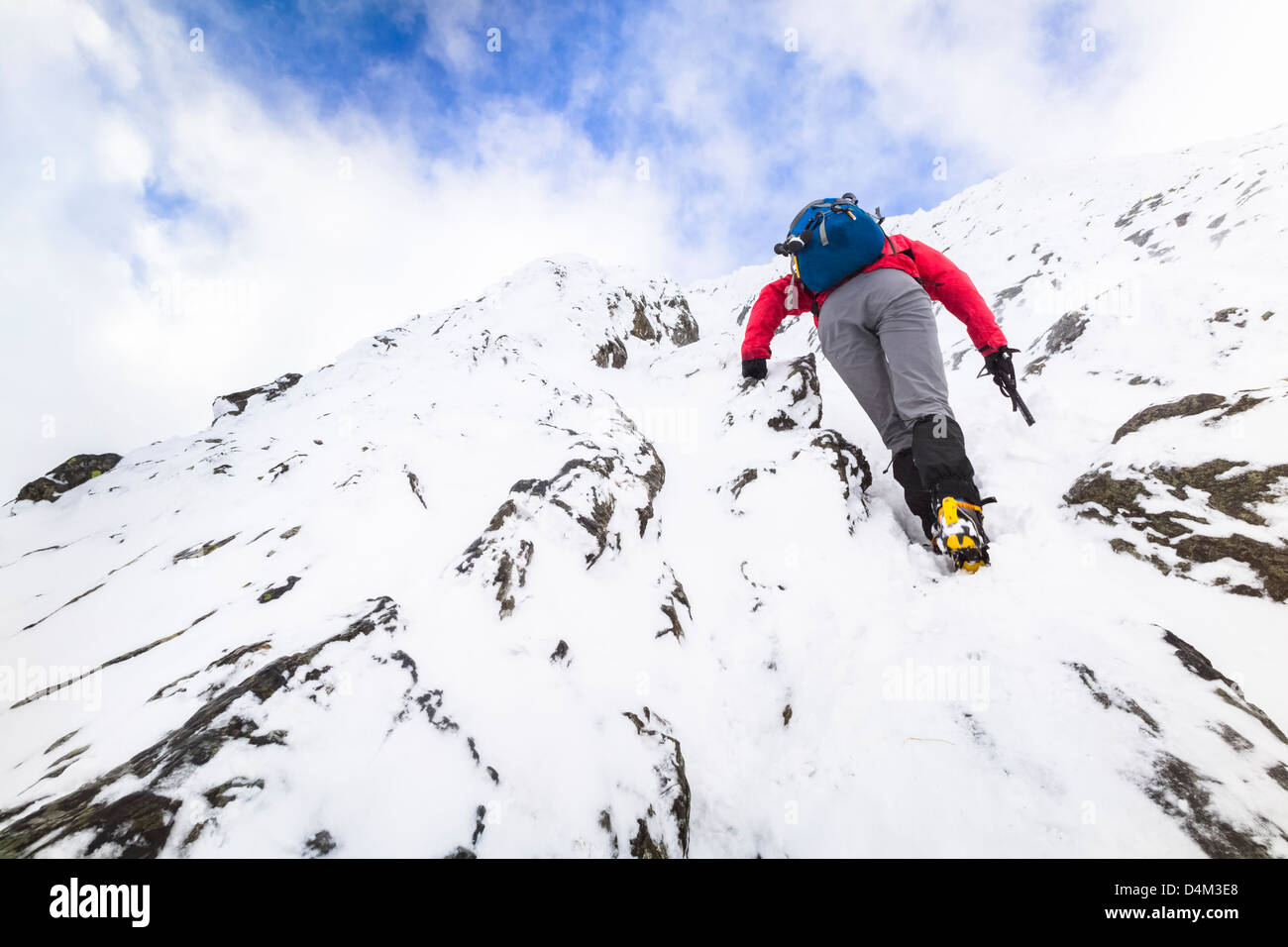 A hiker climbing Sharp Edge on route to the summit of Blencathra ...