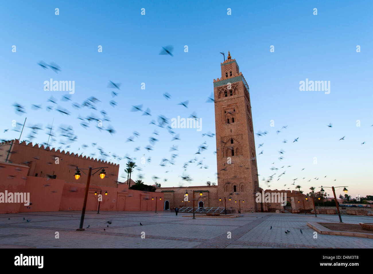 View flock birds soaring hi-res stock photography and images - Alamy