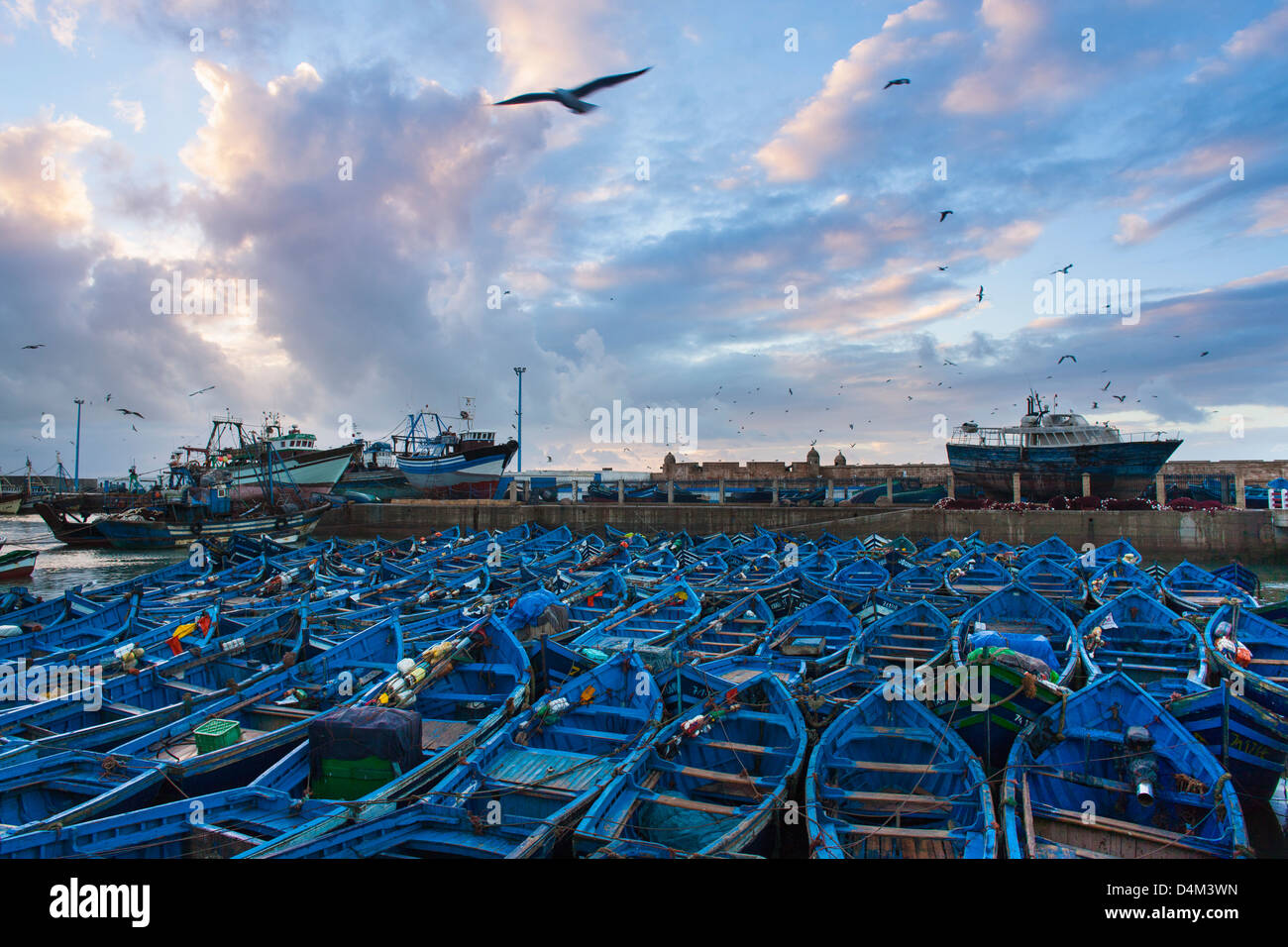 Bird flying in front of ship hi-res stock photography and images - Alamy