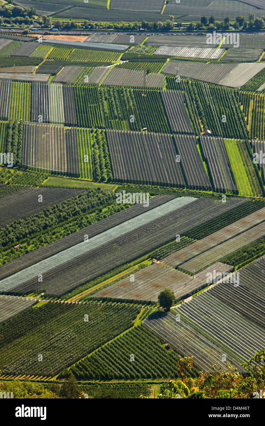 Aerial view of crop hi-res stock photography and images - Alamy
