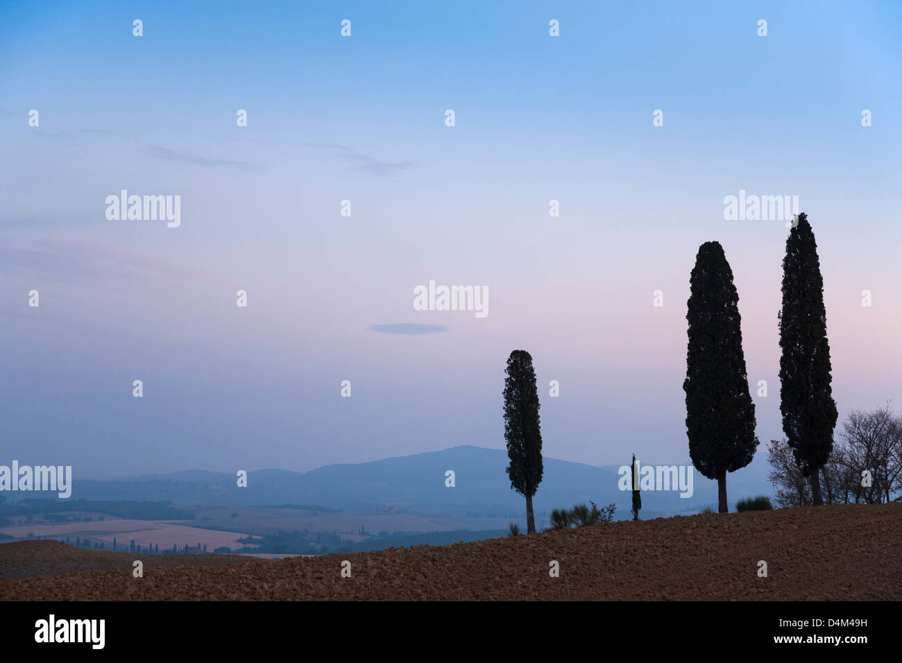 Growing on hill hi-res stock photography and images - Alamy