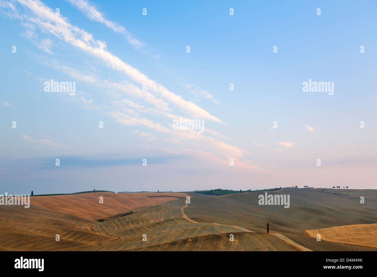 Crop fields in dusty rural landscape Stock Photo - Alamy