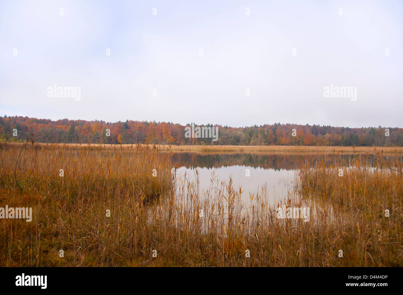 Grass and still water hi-res stock photography and images - Alamy