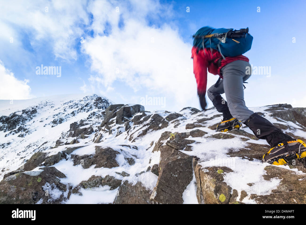 A hiker ascending Swirral Edge towards Helvellyn in the Lake District ...