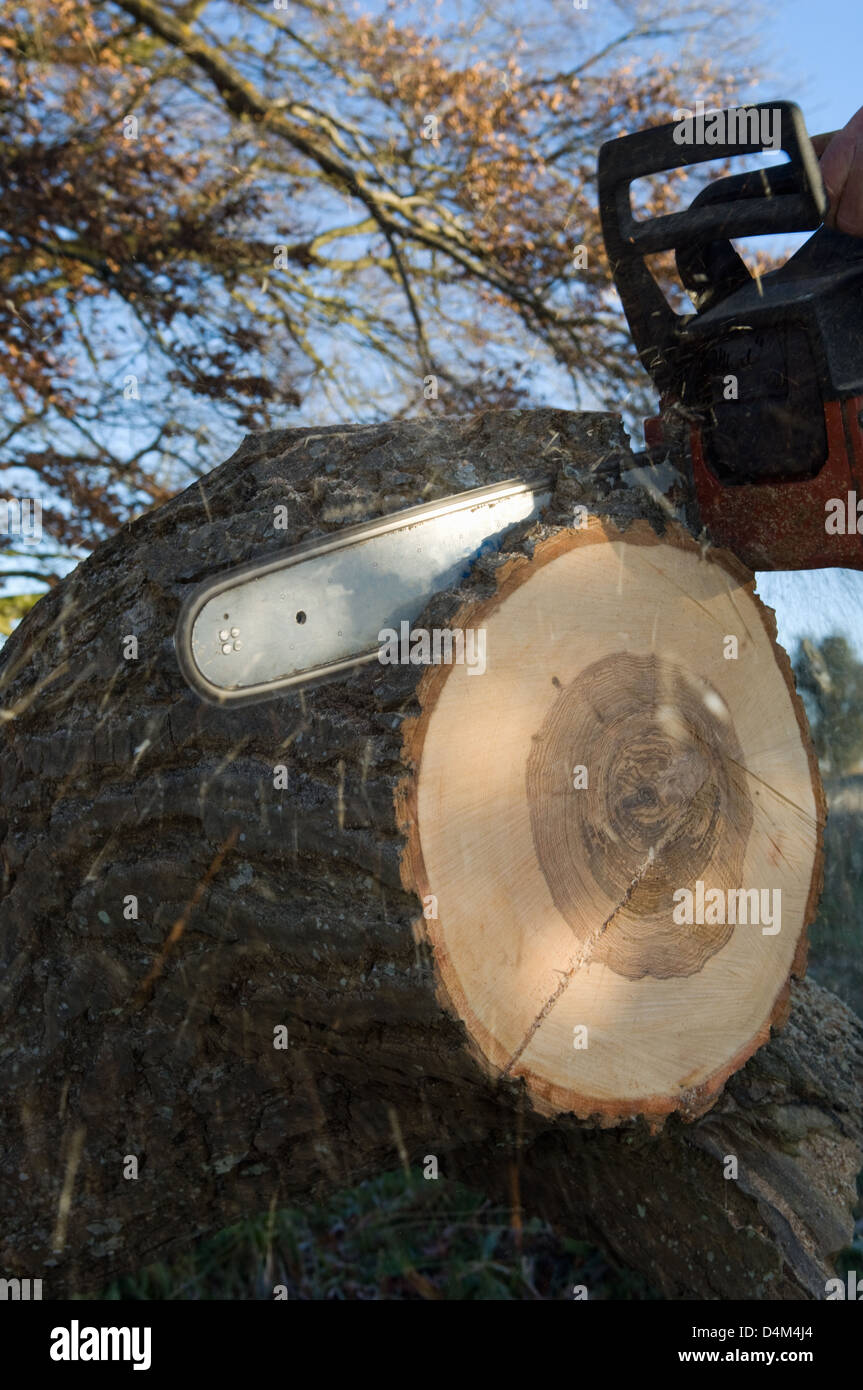 Close up of chainsaw cutting log Stock Photo - Alamy