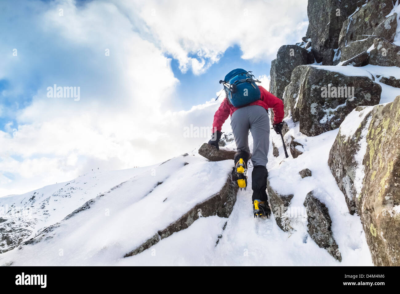 A walker climbing Swirral Edge Towards Helvellyn in the Lake District ...