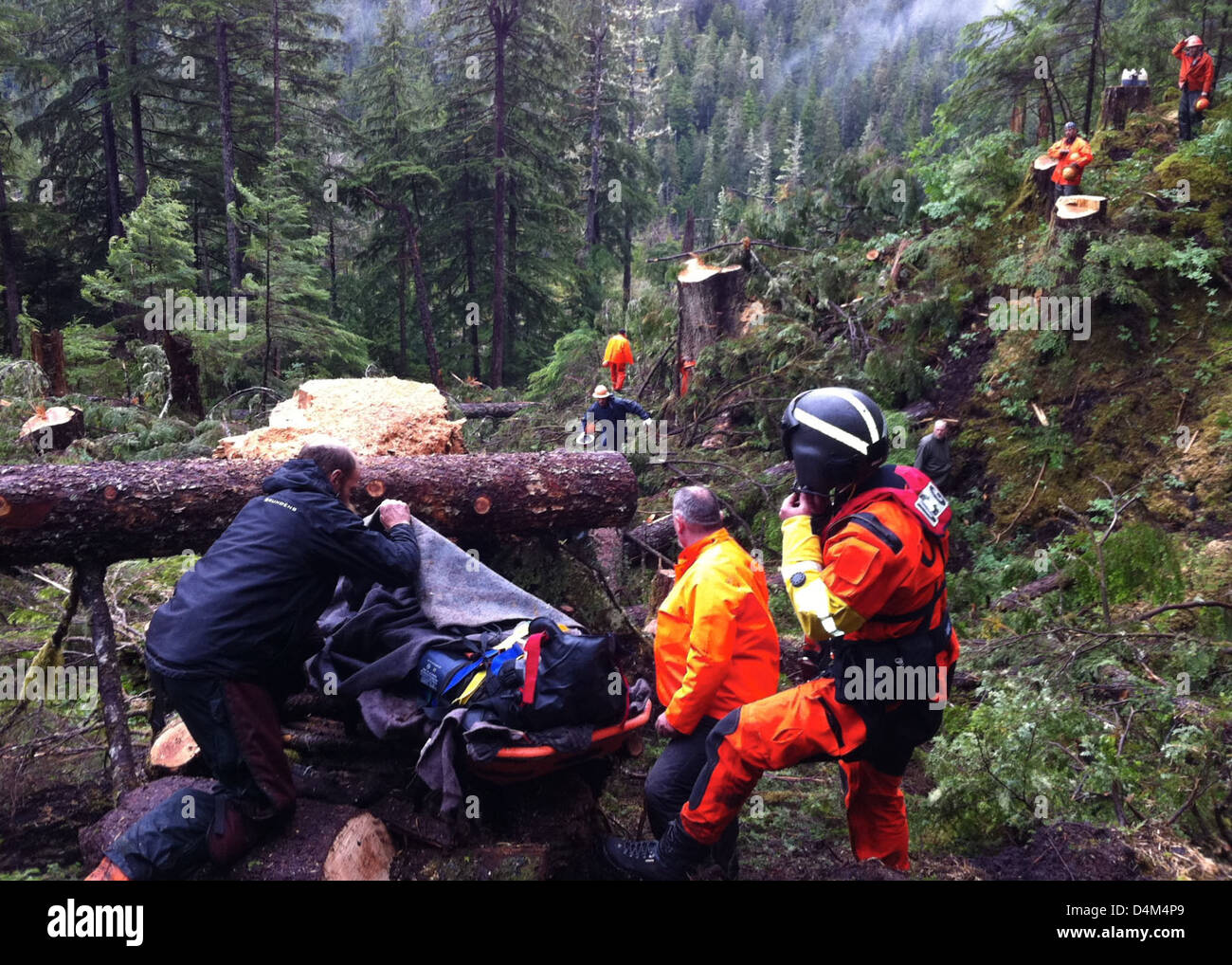 Helicopter logging hi-res stock photography and images - Alamy
