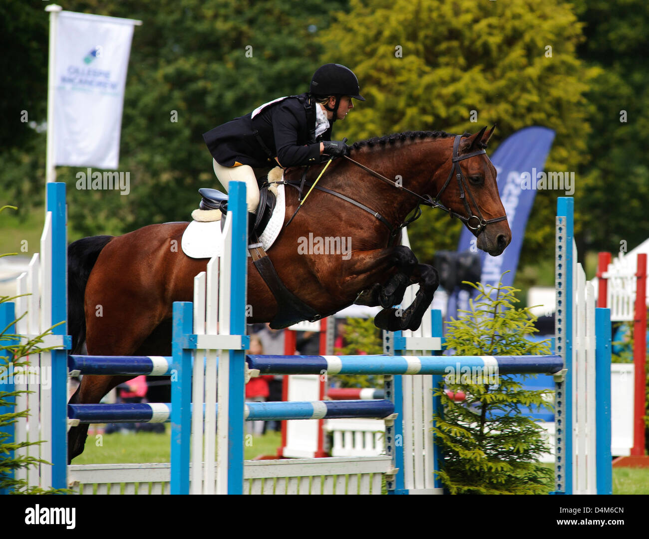 Ruth Foster in action, Gillespie Macandrew Hopetoun House Horse Trials ...