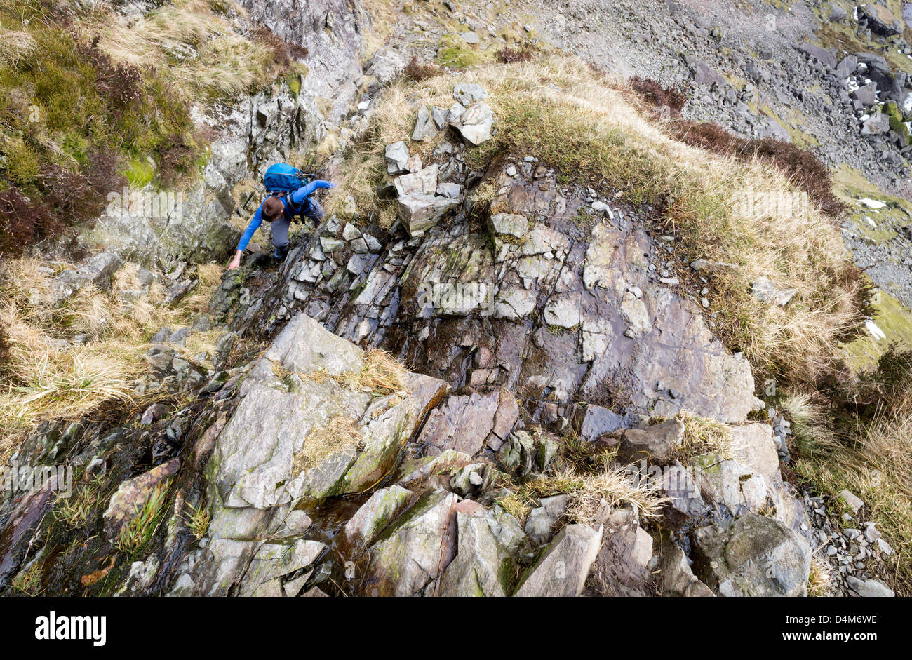 A hiker ascending Jack's Rake on Pavey Ark in the Lake District Stock ...