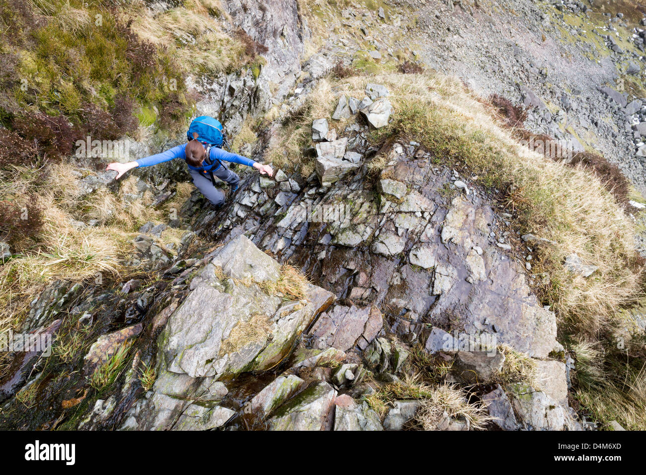 A hiker ascending Jack's Rake on Pavey Ark in the Lake District Stock ...