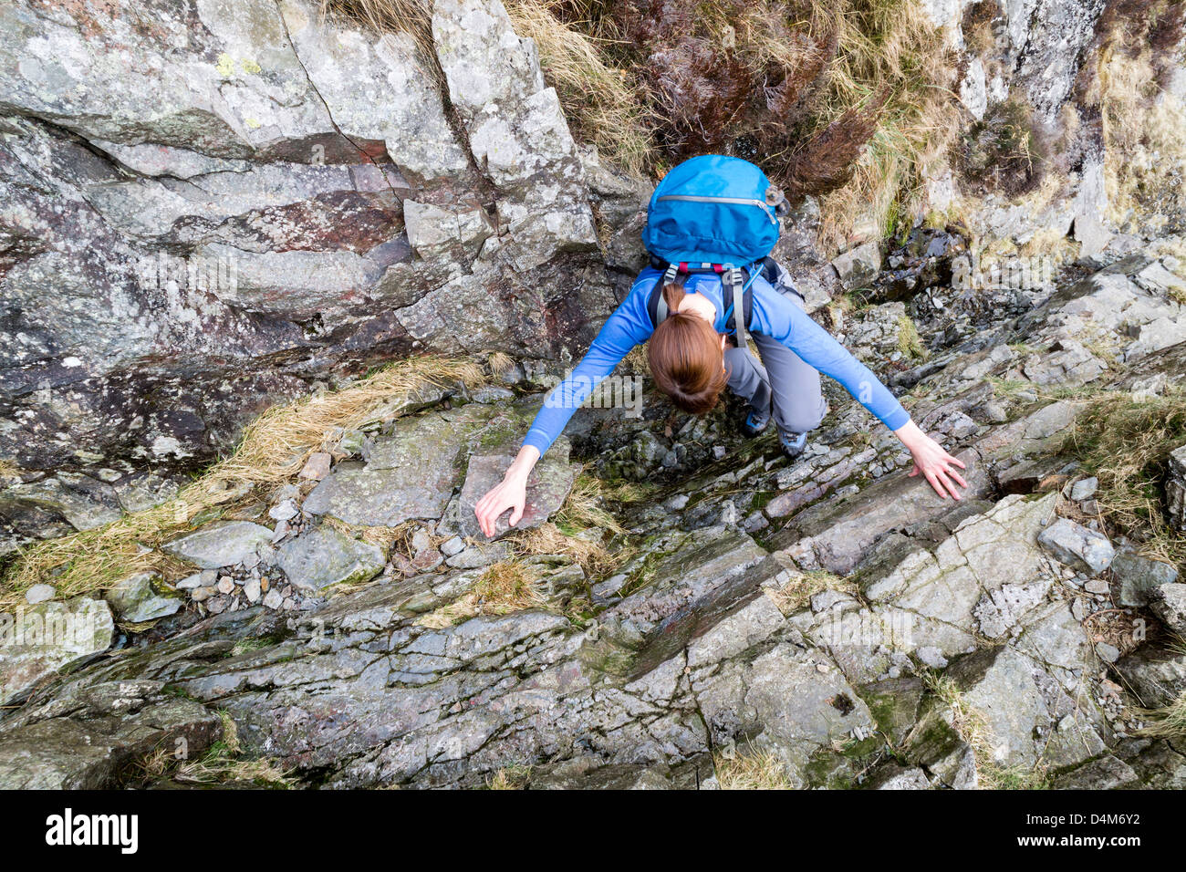Jack's rake hi-res stock photography and images - Alamy