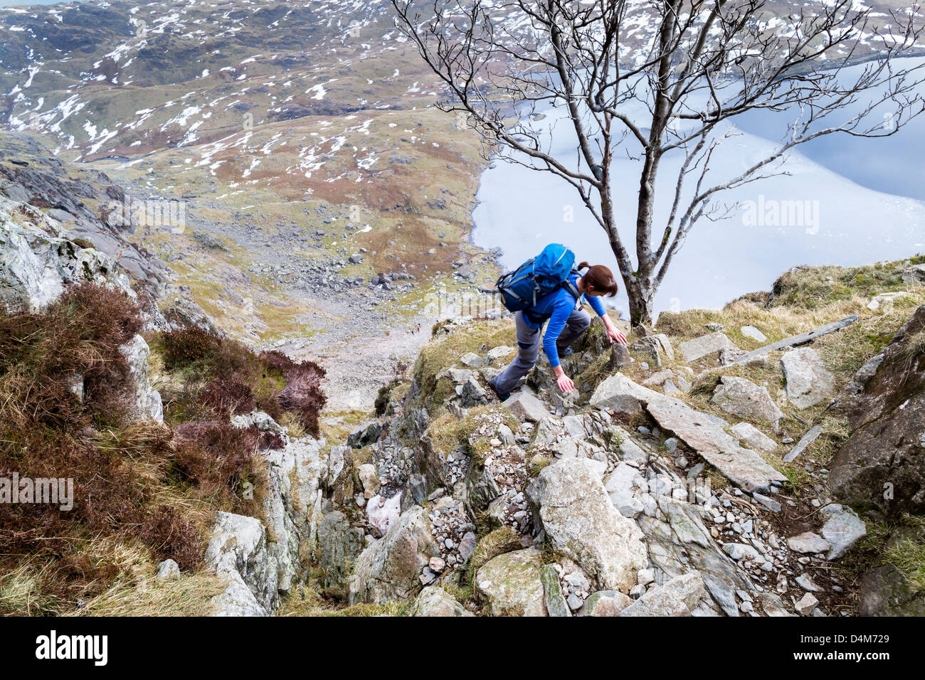 Jacks Rake Stock Photos & Jacks Rake Stock Images - Alamy