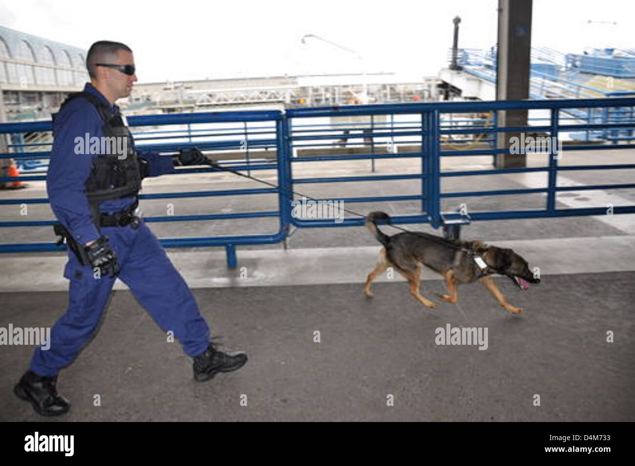 K-9 security teams conduct sweeps during Fleet Week to ensure safety at ...