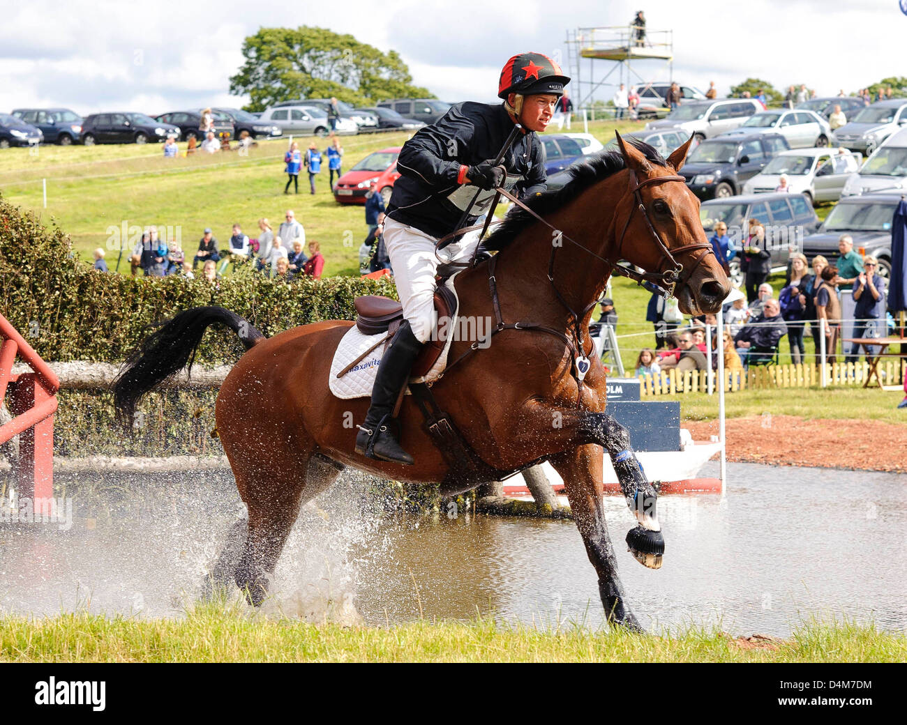 Matthew Heath on The Lion at Gillespie Macandrew Hopetoun House Horse ...