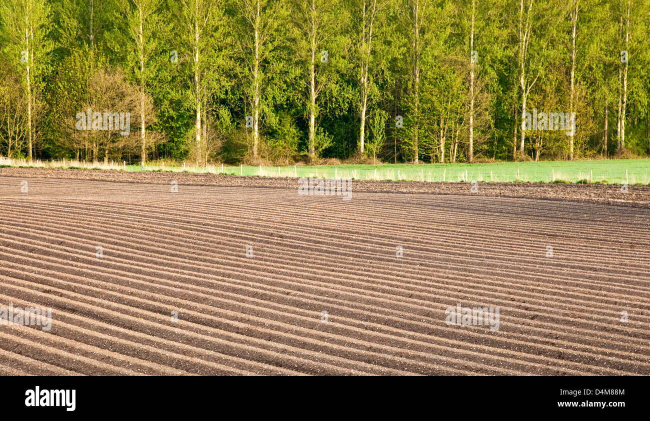 Tixall hi-res stock photography and images - Alamy