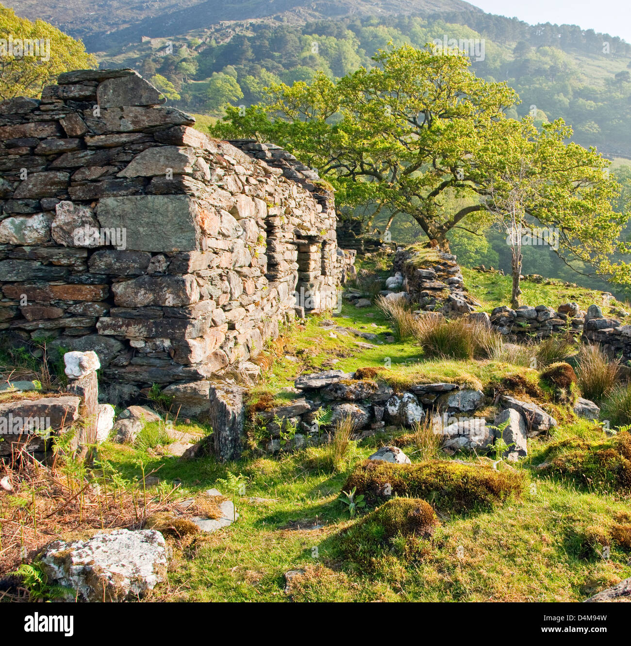 Ruins of Sheperds Bothy near Cwn Llan waterfalls off the Watkin Path ...