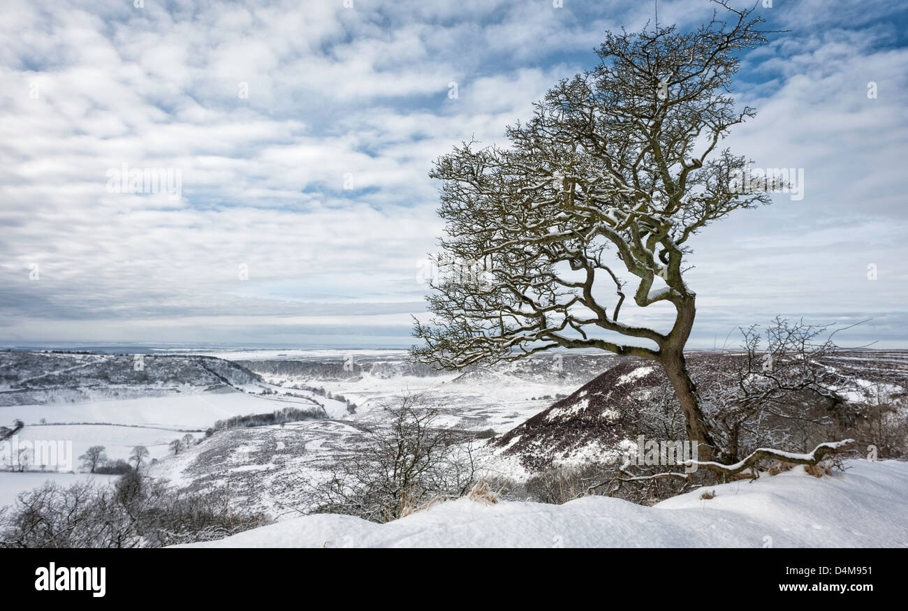 Snow and moors hi-res stock photography and images - Alamy