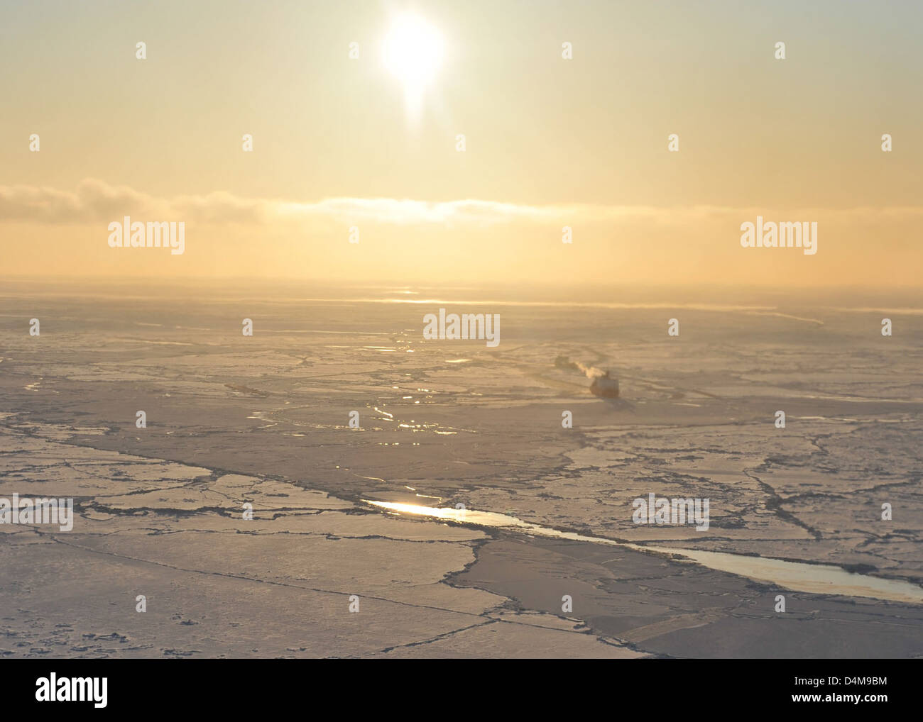 Cgc Healy High Resolution Stock Photography and Images - Alamy