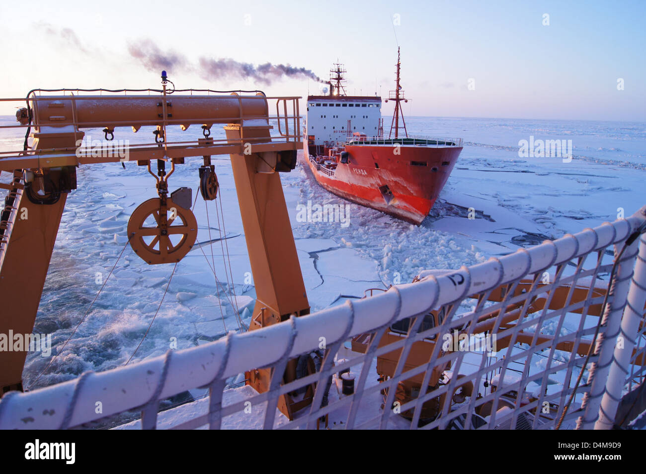 A digital image captured using a SONY camera, typically marked by the ...