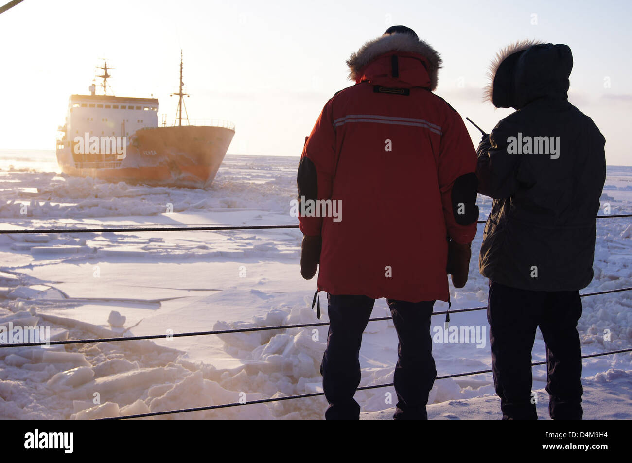 A high-quality photo captured using a SONY DSC camera, showcasing the ...