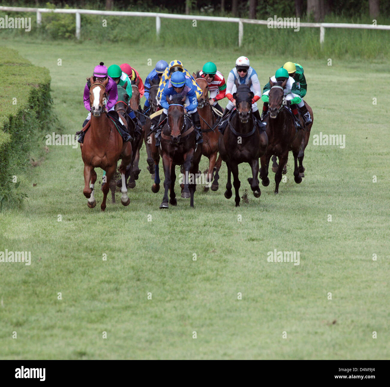 Horse racing horses hi-res stock photography and images - Alamy