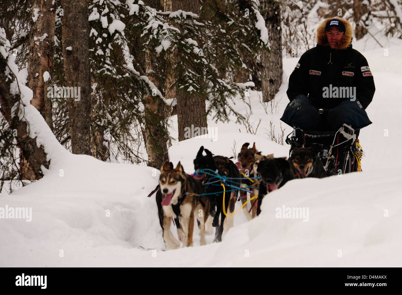 Ken Anderson participates in the Iditarod, the famous sled dog race ...