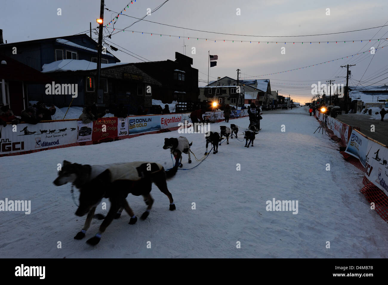 Arrival of Ken Anderson at the Nome Iditarod finish line in 12th place ...