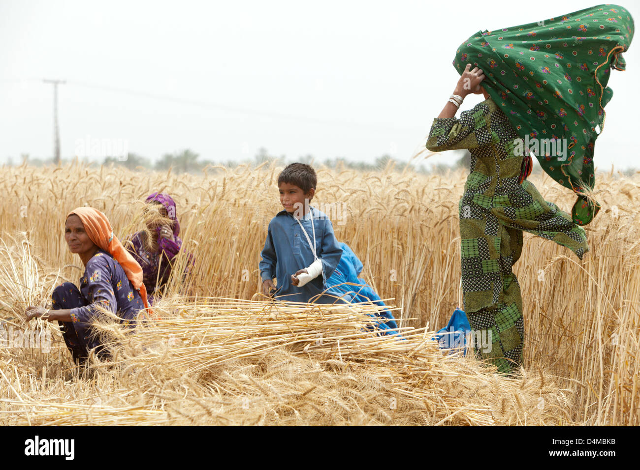 Flood fields pakistan hi-res stock photography and images - Alamy