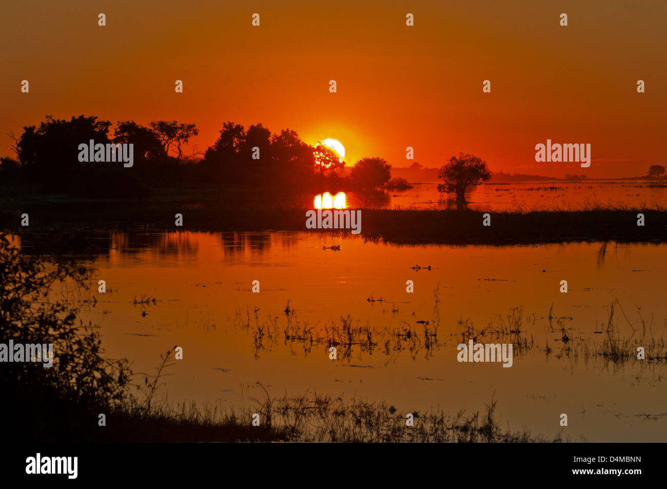 Chobe river national park hi-res stock photography and images - Alamy