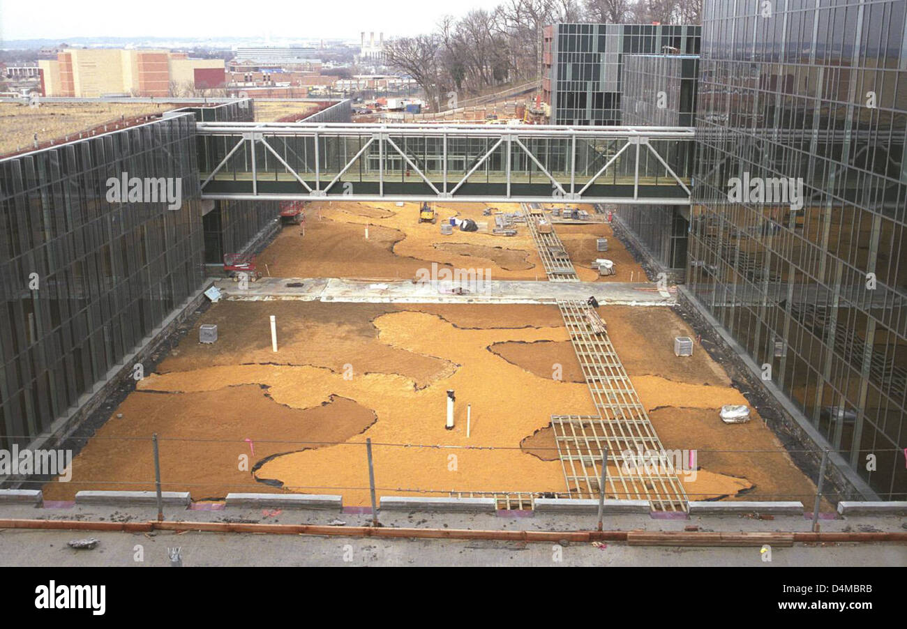 The LL8 Courtyard at St. Elizabeths offers a northward view of the ...