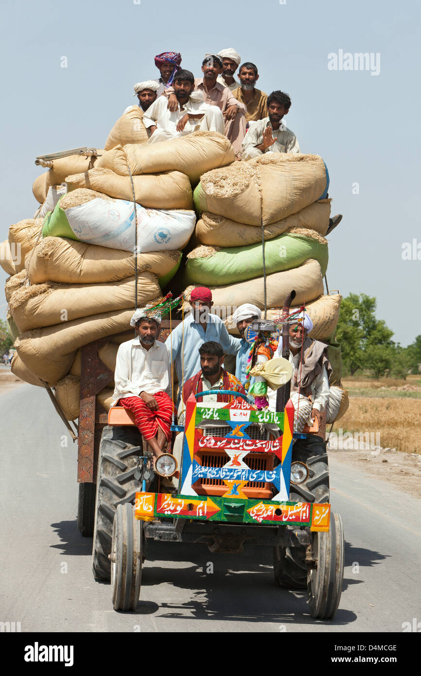 Usman Kurea, Pakistan, transport the harvest on a tractor Stock Photo ...