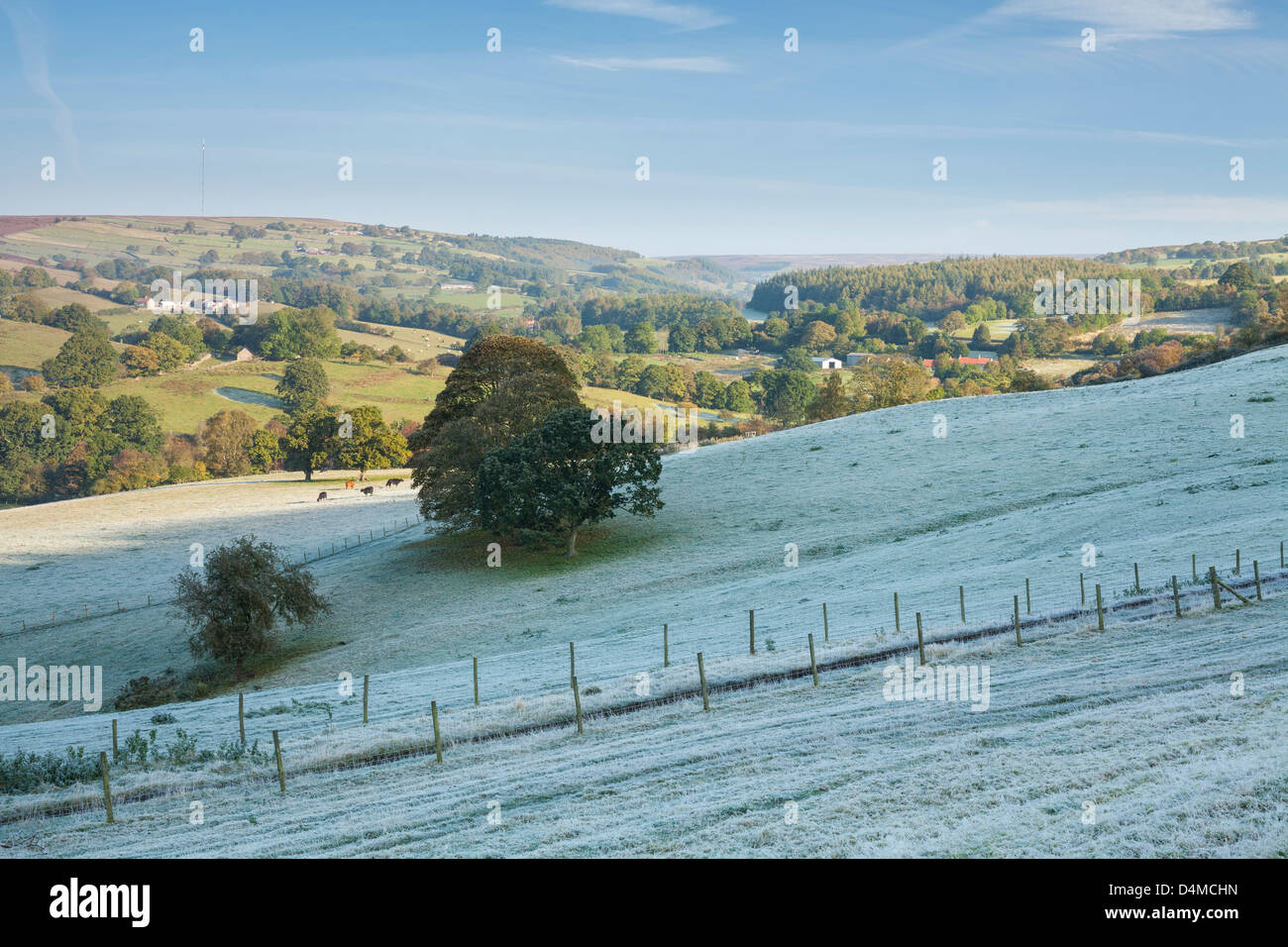 View down Bilsdale, North Yorkshire Stock Photo - Alamy