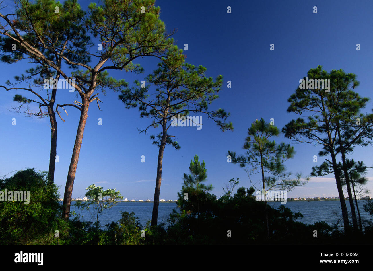 Bon secour refuge hi-res stock photography and images - Alamy