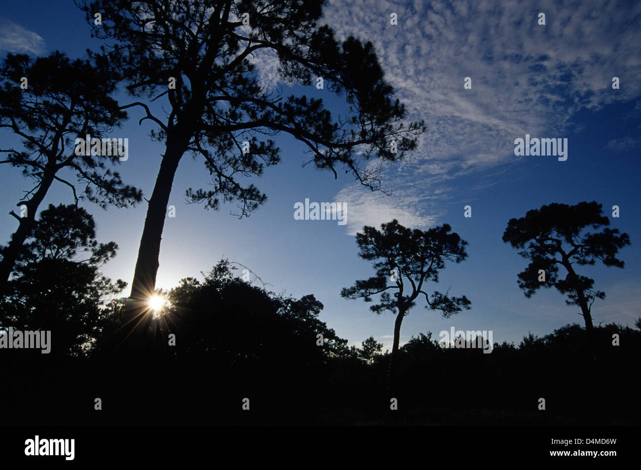 Bon secour refuge hi-res stock photography and images - Alamy