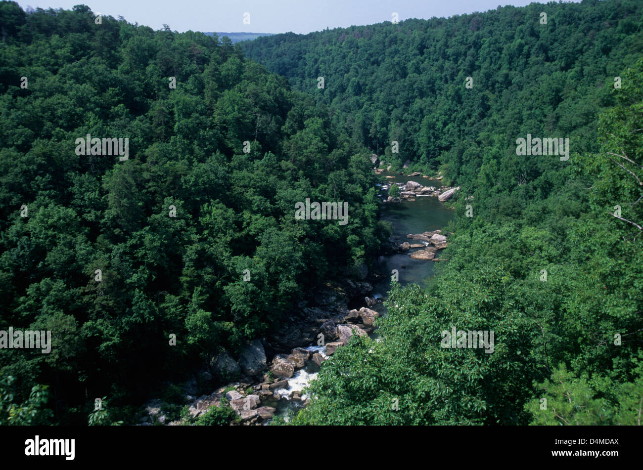 Little River Canyon from Lynn Overlook, Little River Canyon National ...