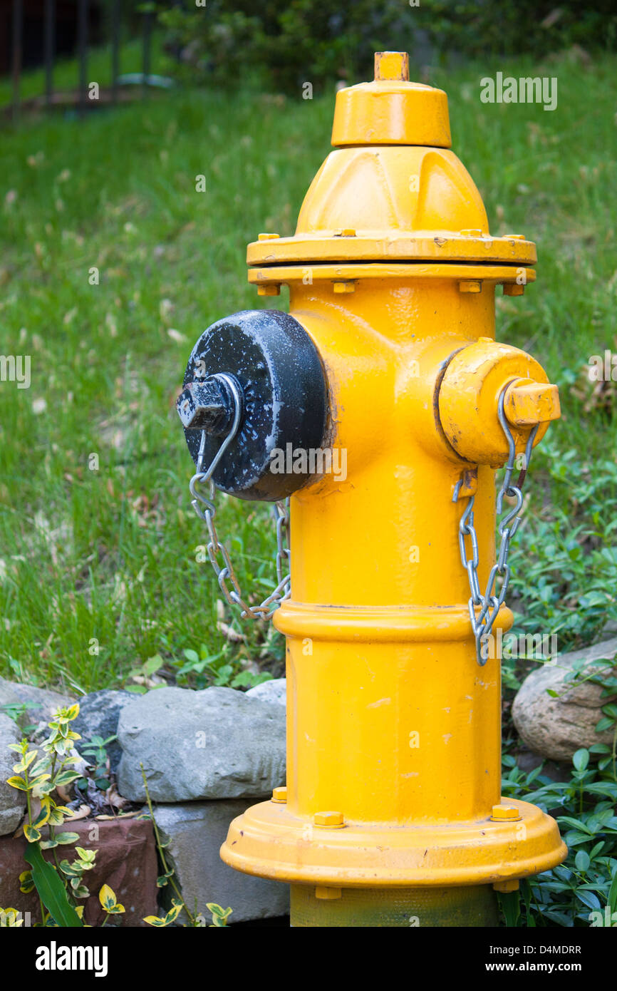 A Yellow Fire Hydrant with green lawn behind it in an upscale Toronto ...