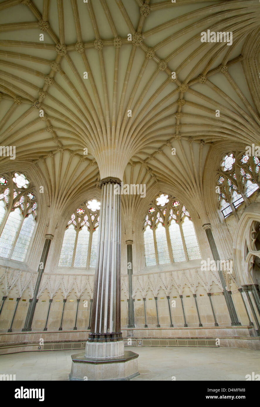 Wells cathedral chapter house hi-res stock photography and images - Alamy