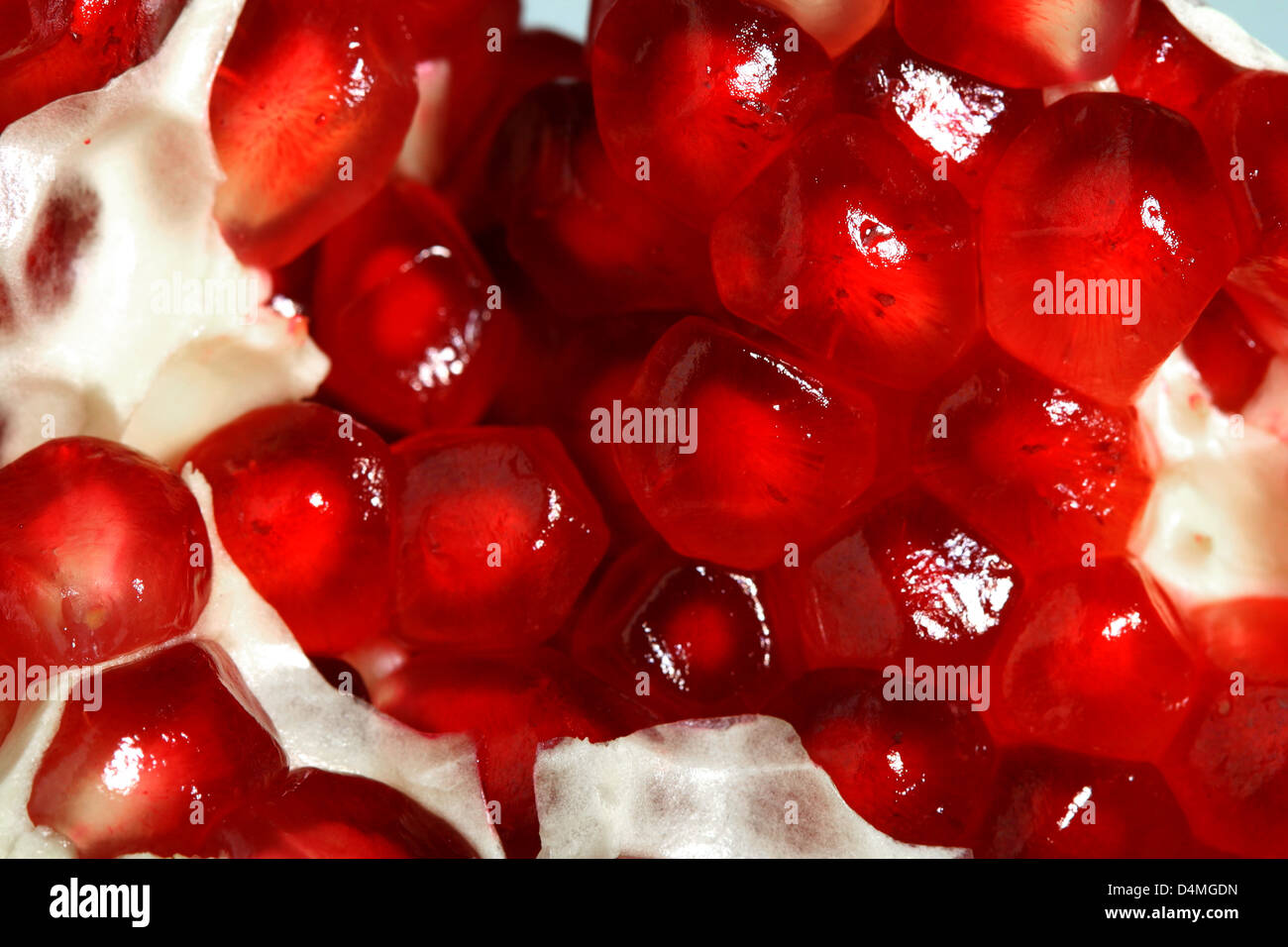 pomegranate macro close up on white background Stock Photo - Alamy