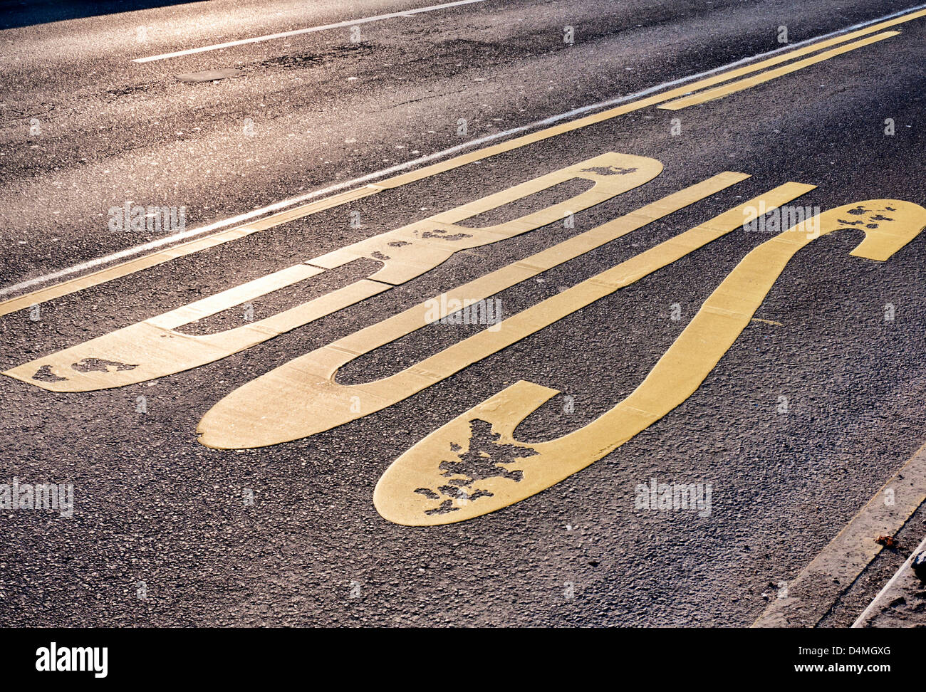 Yellow bus sign on the road in back light Stock Photo - Alamy