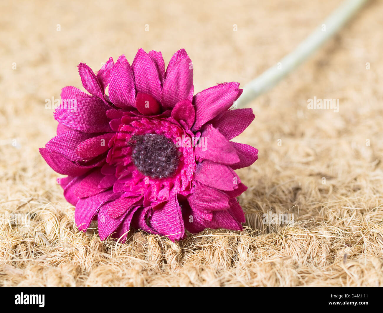 Floral fabric hi-res stock photography and images - Alamy