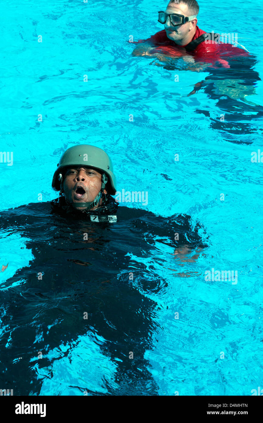The U.S. Coast Guard's Deployable Dog team conducts water survival ...